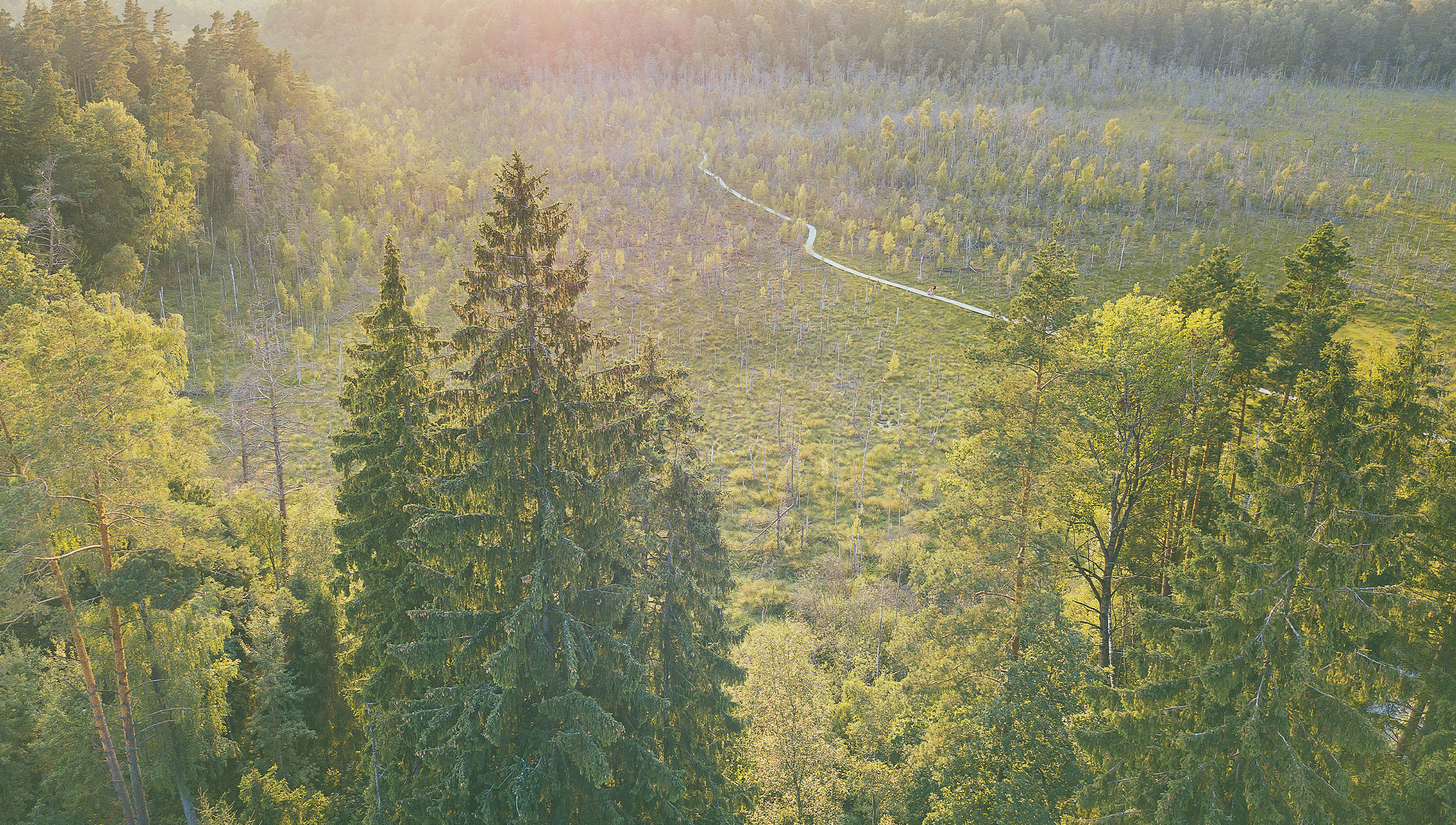Dubrava Educational Trail | Lithuania Travel